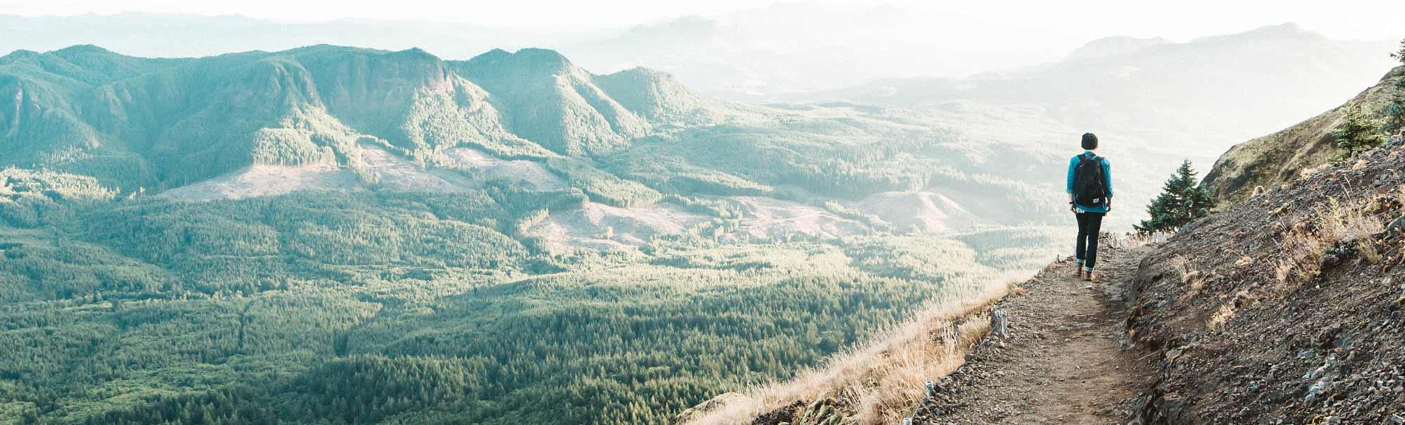 bg3 | Paramount Exclusive Insurance